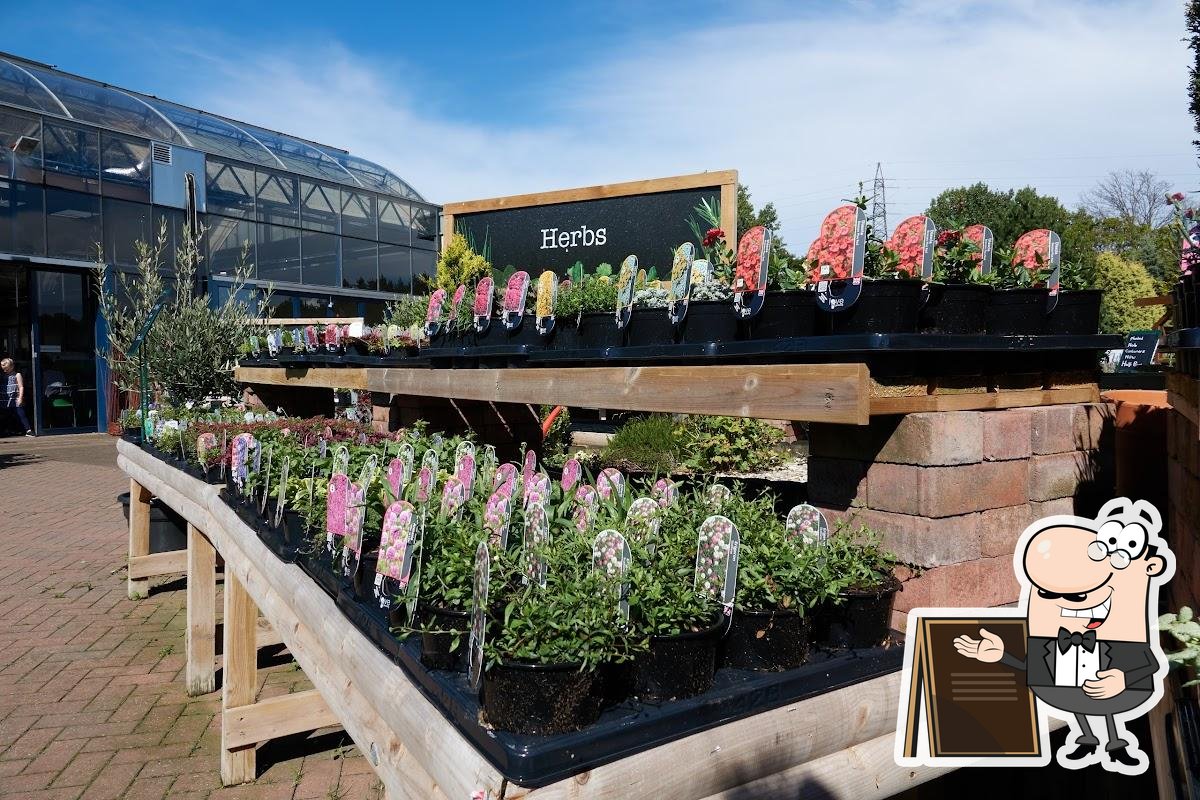Melbicks Garden Centre Brownhills | Fasci Garden