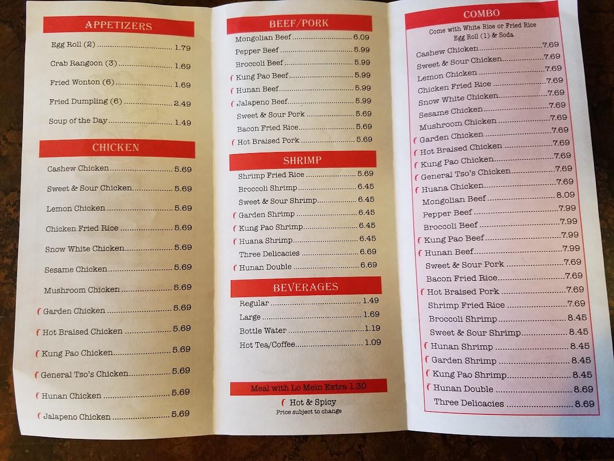 Menu at Dragon Express restaurant, Garden City, N Taylor Ave