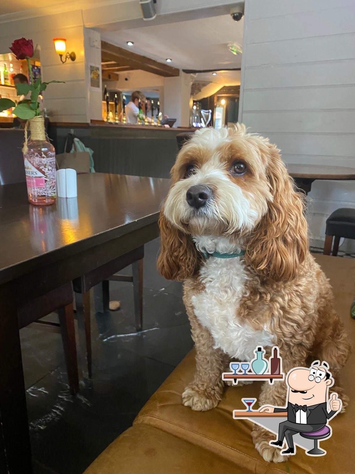 Rose & Crown Tewin, Welwyn - Restaurant menu, prices and reviews