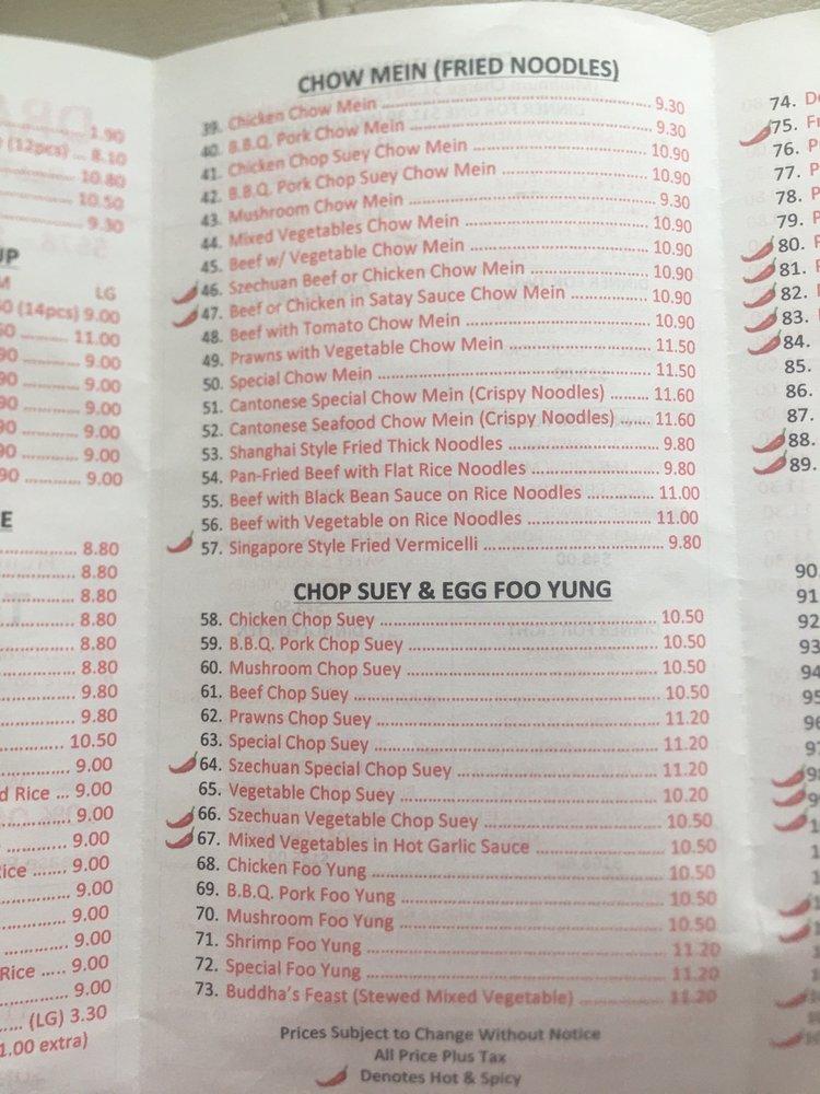 Menu at Dragon Village Restaurant & Won Ton House, Surrey