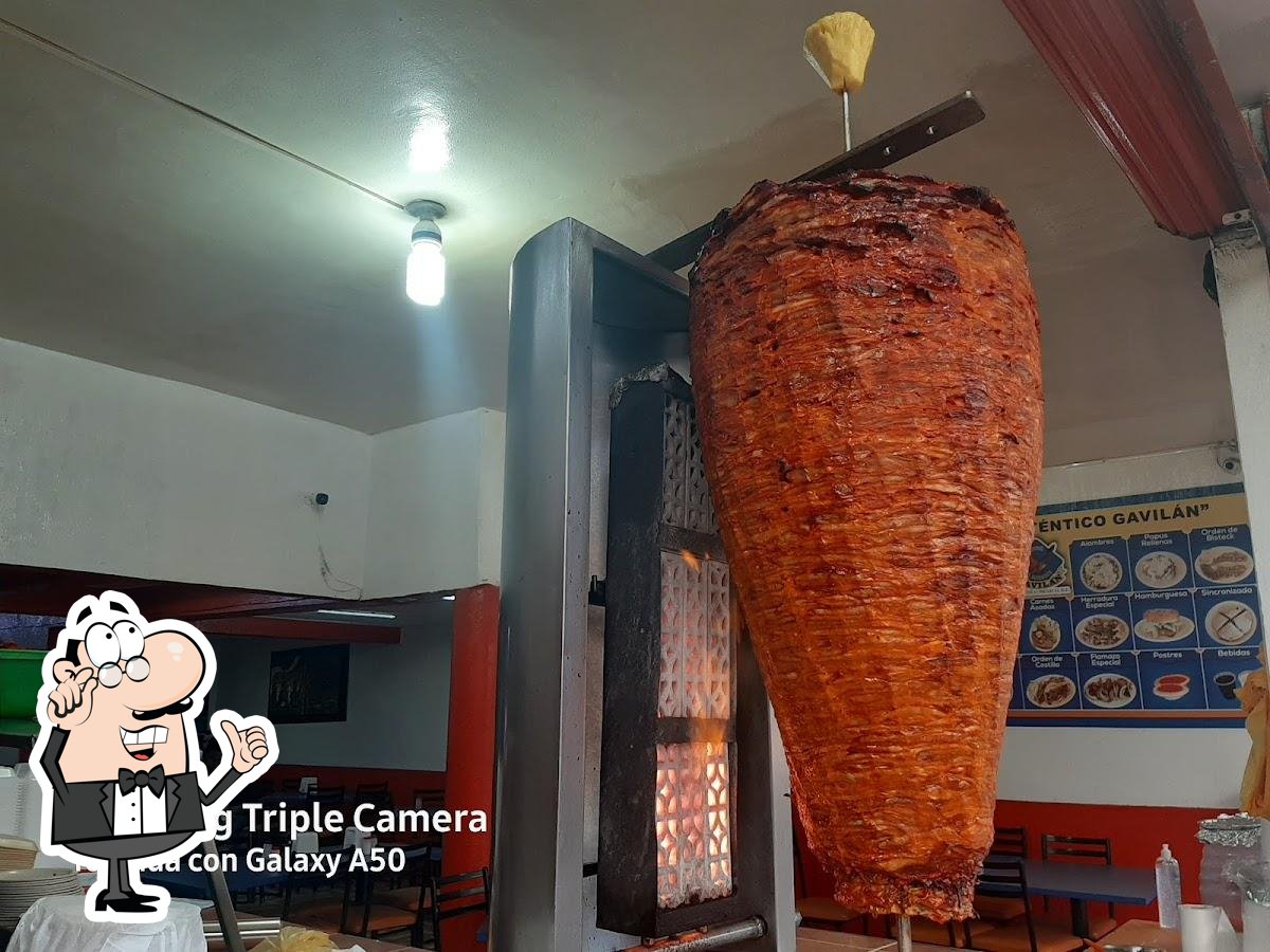El Gavilan, Tepic - Menú del restaurante, precios y reseñas