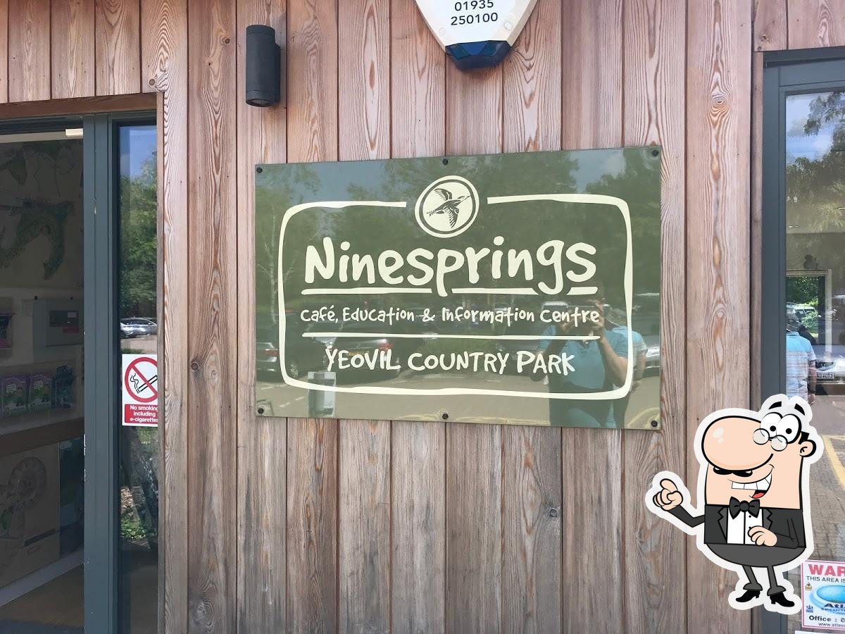 Ninesprings Cafe, 27 Brunswick St in Yeovil - Restaurant reviews