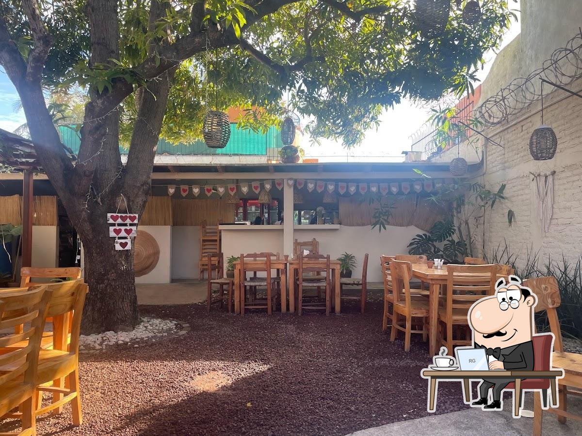 Mango Café, Barra de Navidad - Menú del restaurante, precios y reseñas