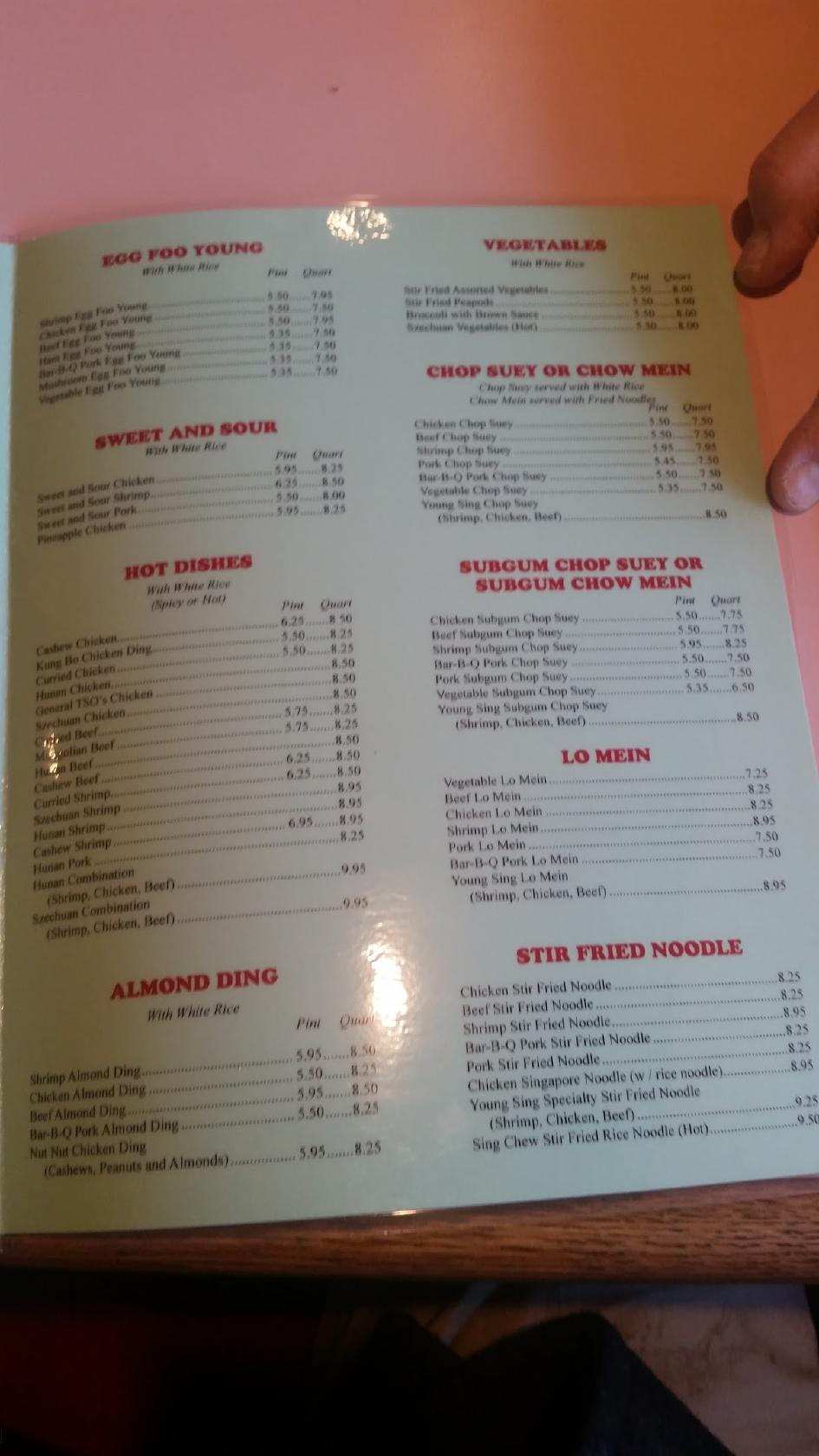 Menu at Young Sing Chinese Restaurant, Flint