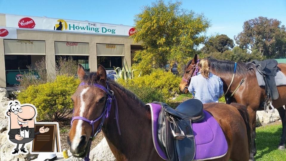 Howling Dog Tavern, Liddiards Road in Corny Point - Restaurant reviews