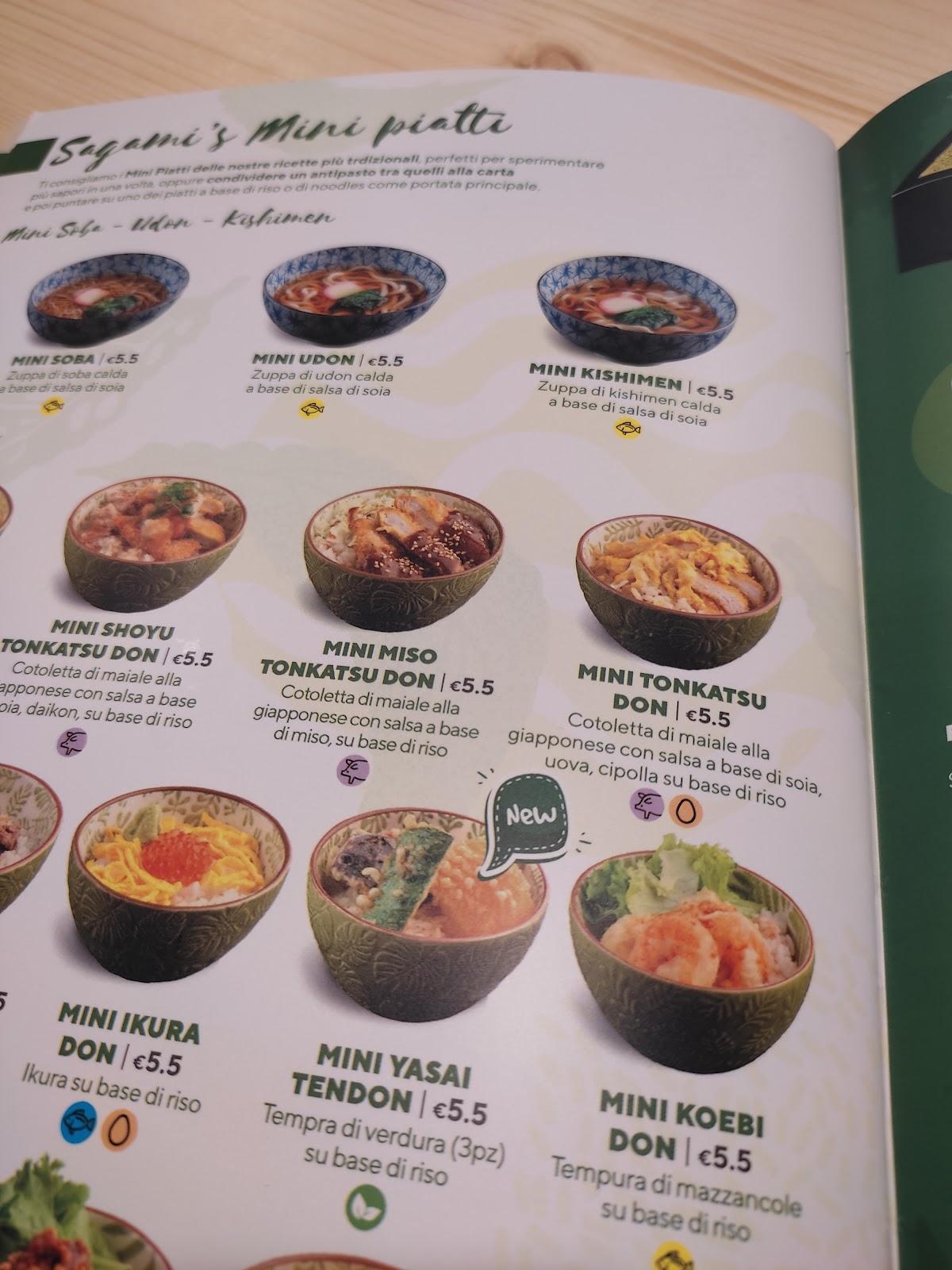 Menu da Sagami Reggio Emilia ristorante, Reggio Emilia