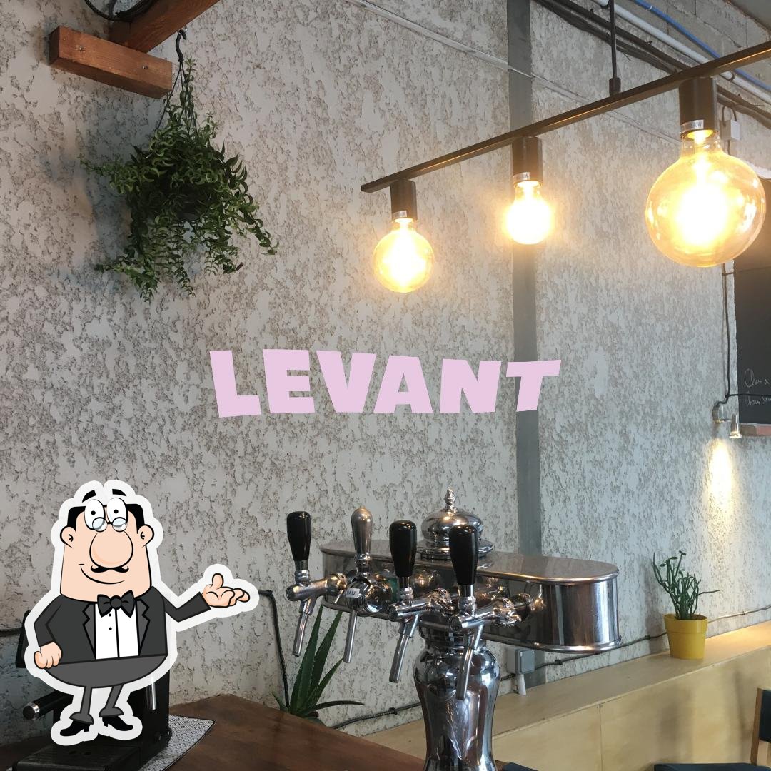 La Brasserie du Levant pub & bar, Toulouse - Restaurant reviews