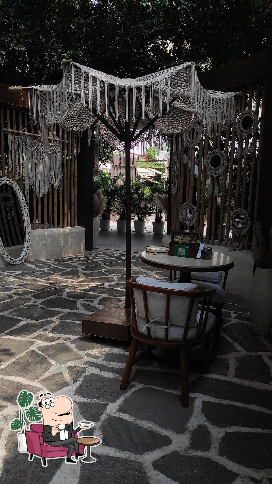 Avokado, New Delhi - Restaurant reviews