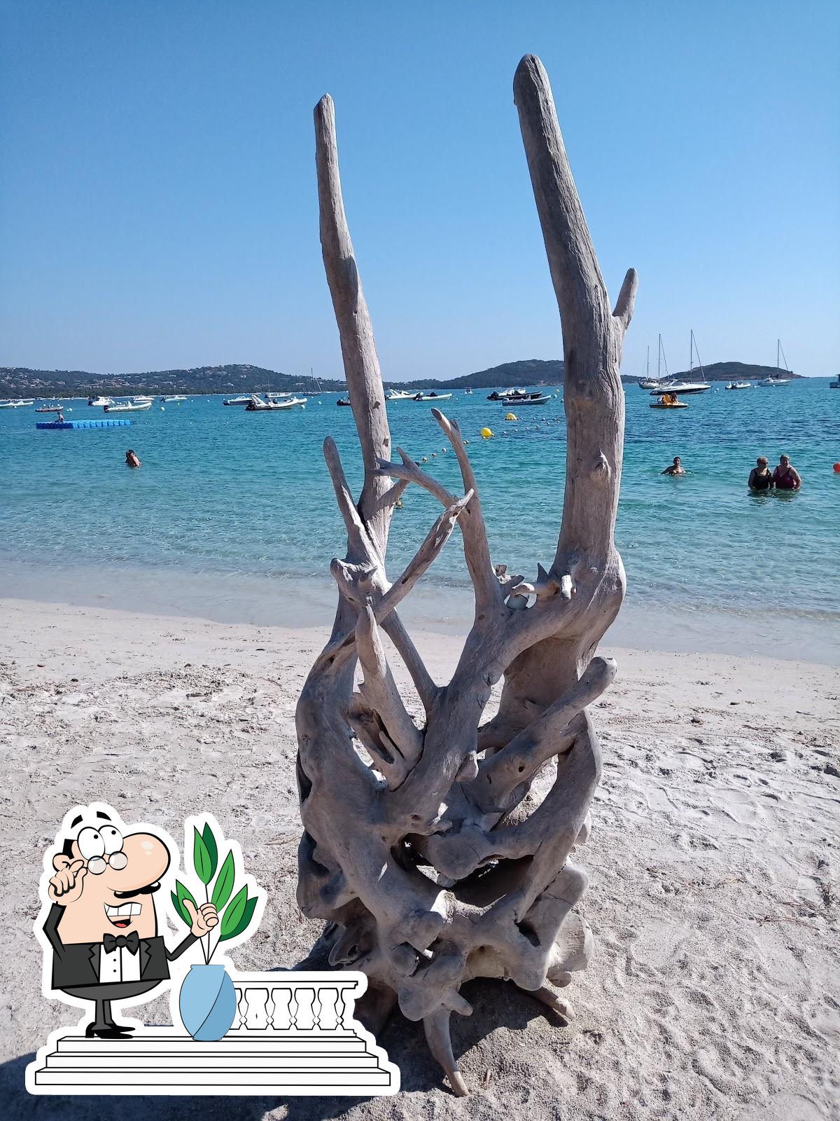 VIP Beach restaurant, Lecci - Restaurant menu and reviews