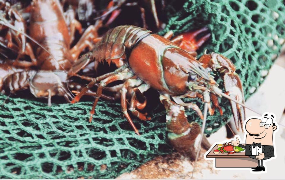 Big Blue Crawfish, 2611 Pepperell Pkwy in Opelika - Restaurant reviews