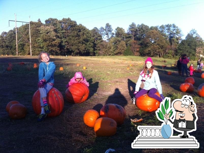 The Pumpkin Patch in Richmond