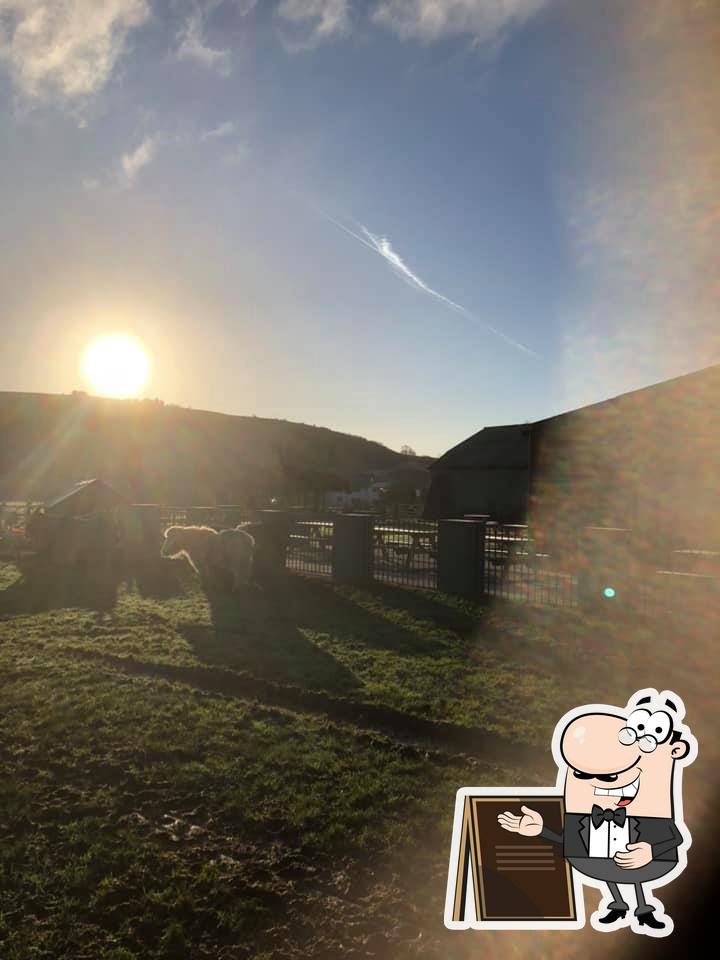 Doniford Farm Park in Watchet - Restaurant menu and reviews