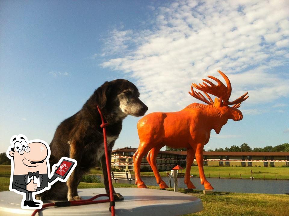 The Big Orange Moose in Black River Falls - Restaurant reviews