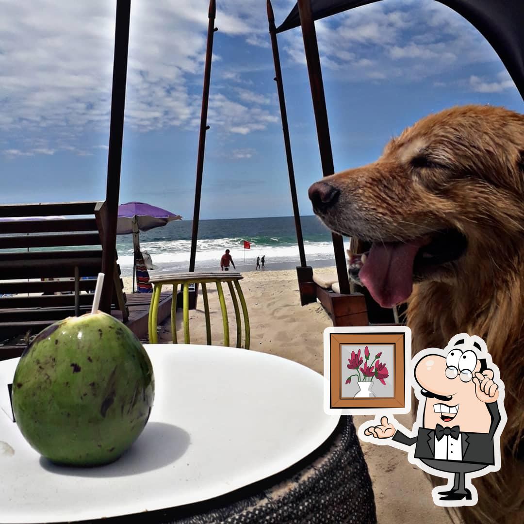 Clássico Beach Club - Recreio, Rio de Janeiro - Avaliações de restaurantes