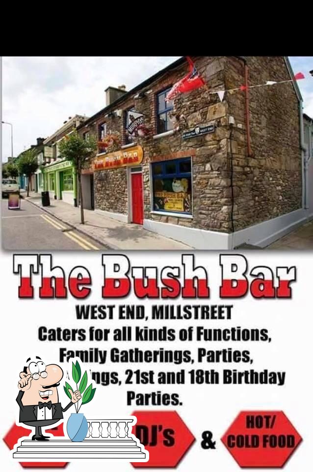 The Bush in Ireland - Restaurant reviews