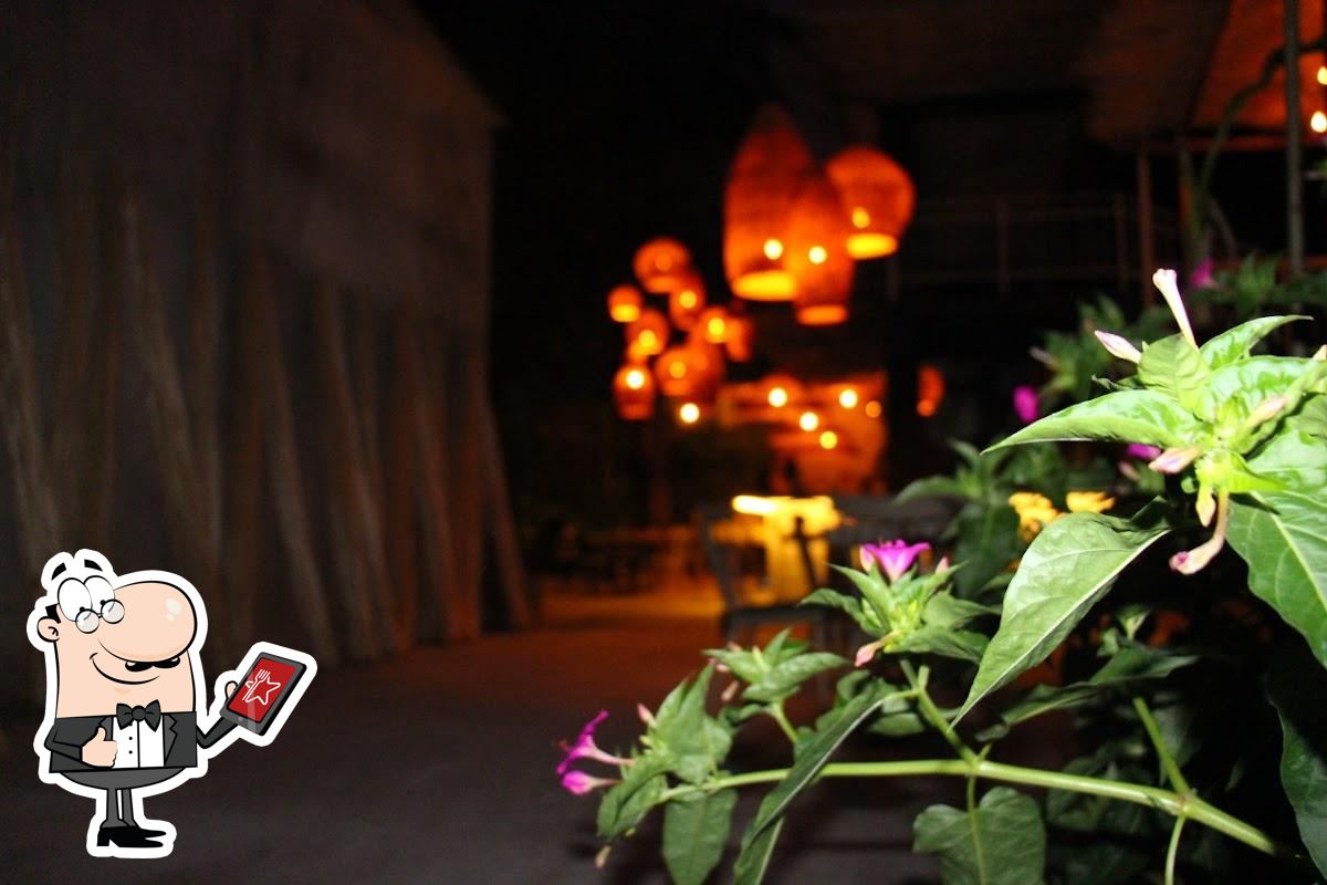 "fOlium Tirana" Gathering Place pub & Bar, Tirana