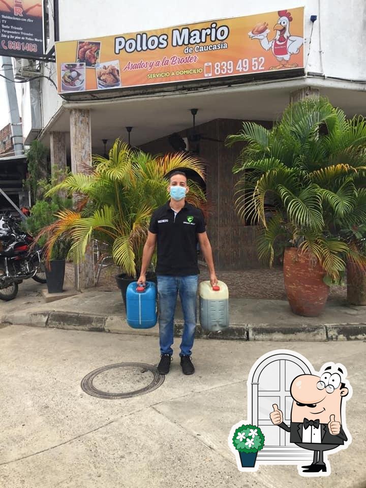 Pollos Mario, Caucasia - Menú del restaurante, precios y reseñas
