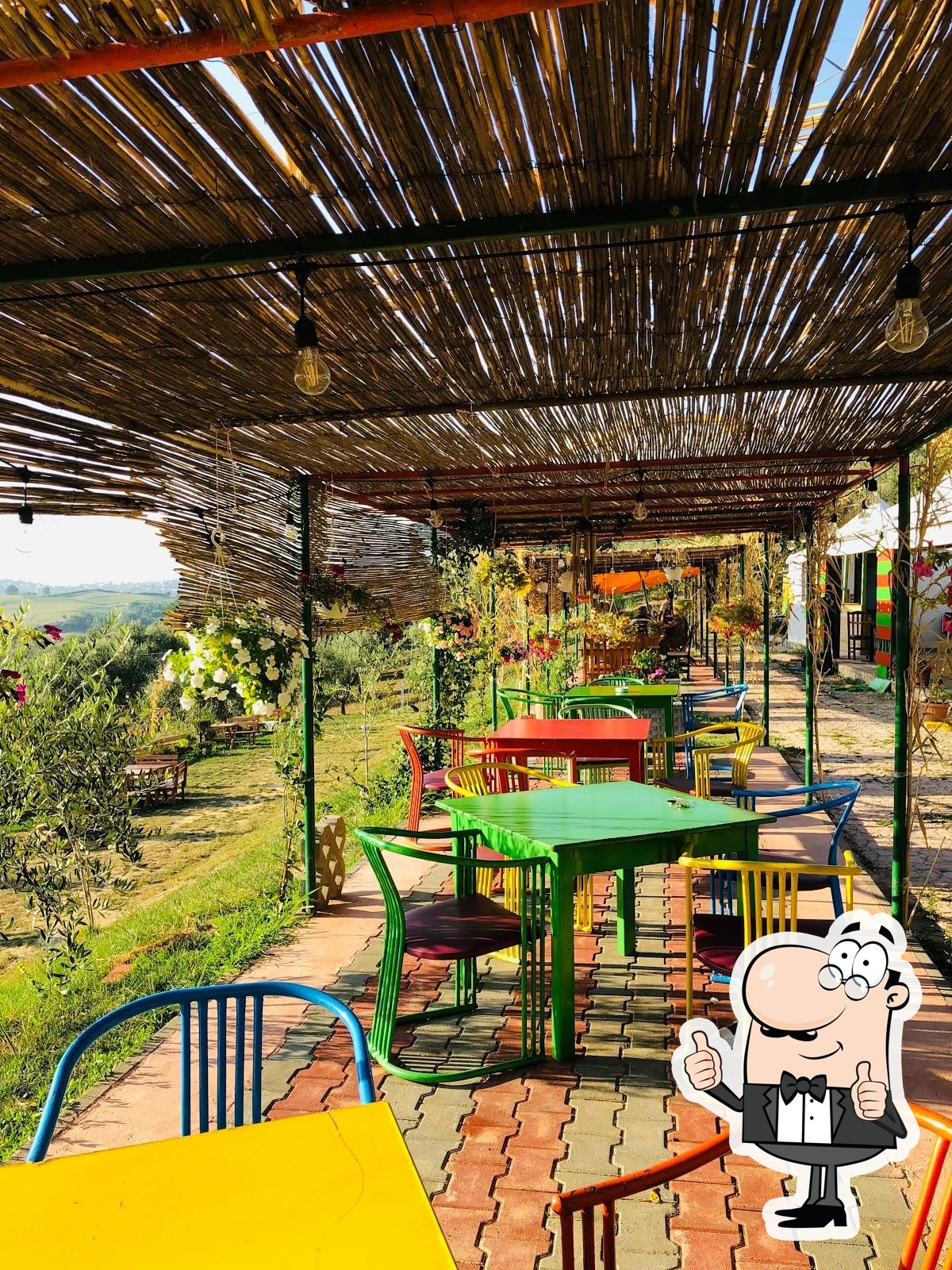 Turtle Farm Albania restaurant, Tirana - Restaurant reviews