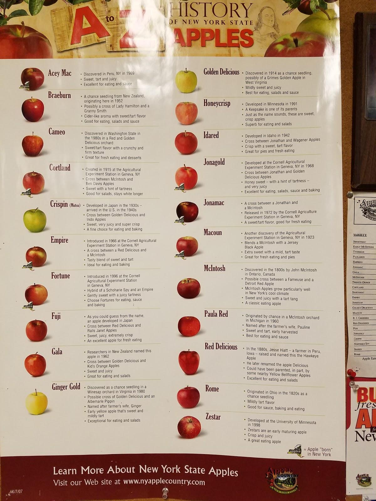 Menu at Altamont Orchards Inc., Altamont