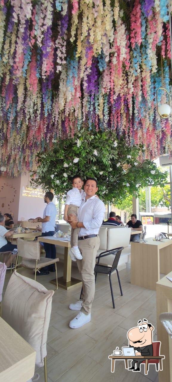 Parea Restaurante, Veracruz - Opiniones del restaurante