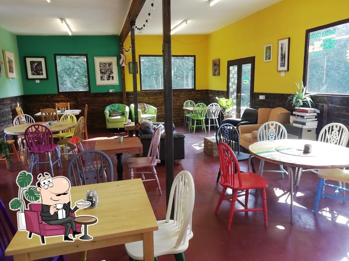 Solstice Coffee Shop & Nursery, Rugby - Restaurant menu, prices and reviews
