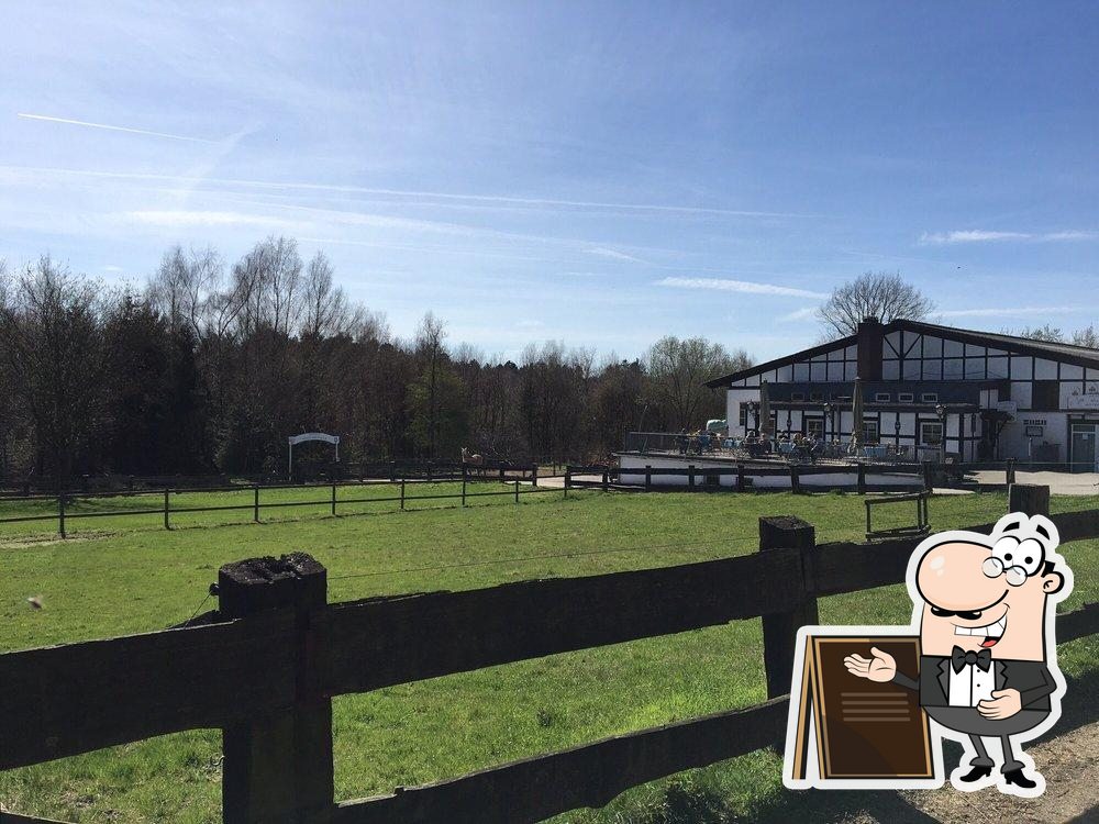 Haus Waldeck restaurant, Lohmar - Restaurant reviews
