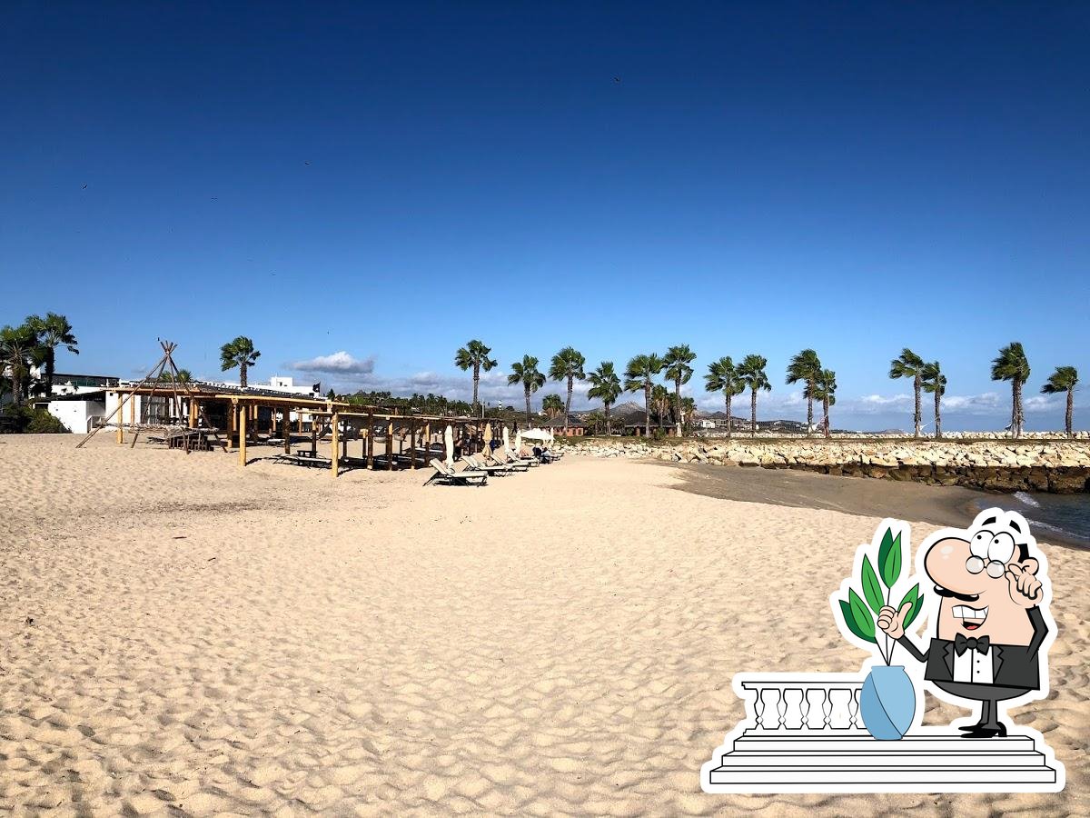 EL Ganso Beach Club, San José del Cabo - Restaurant reviews
