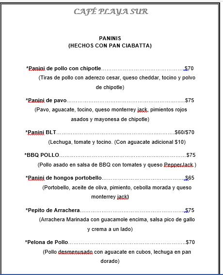 Menu at Café Playa Sur, Mazatlán, Carnaval 706