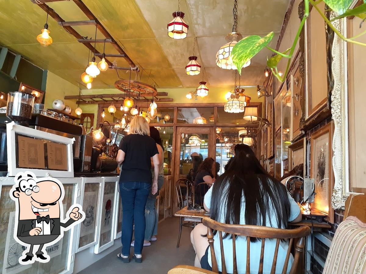 Cleocatra Café - Cat Cafe/ Portage Ave, Winnipeg - Restaurant menu ...