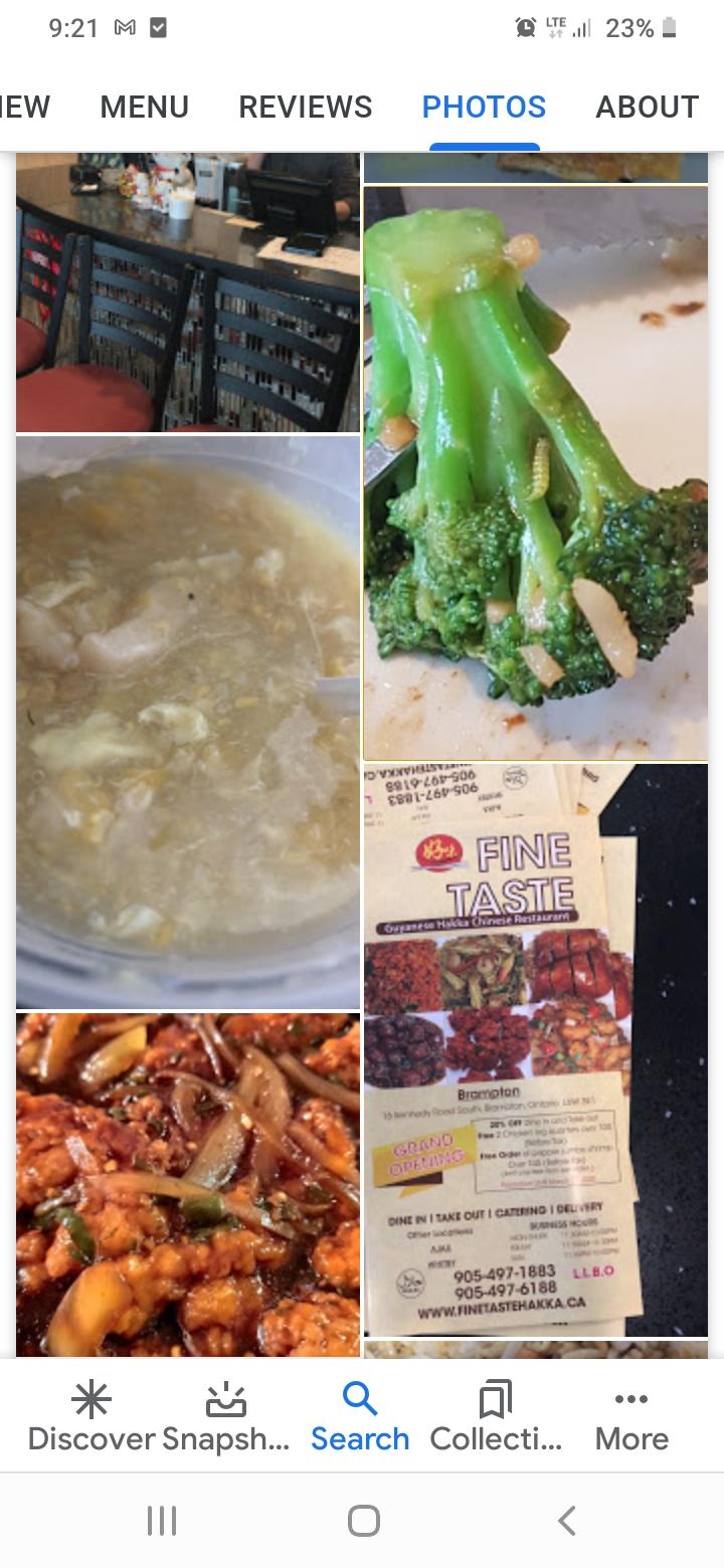 Menu at Fine Taste Hakka Restaurant, Brampton