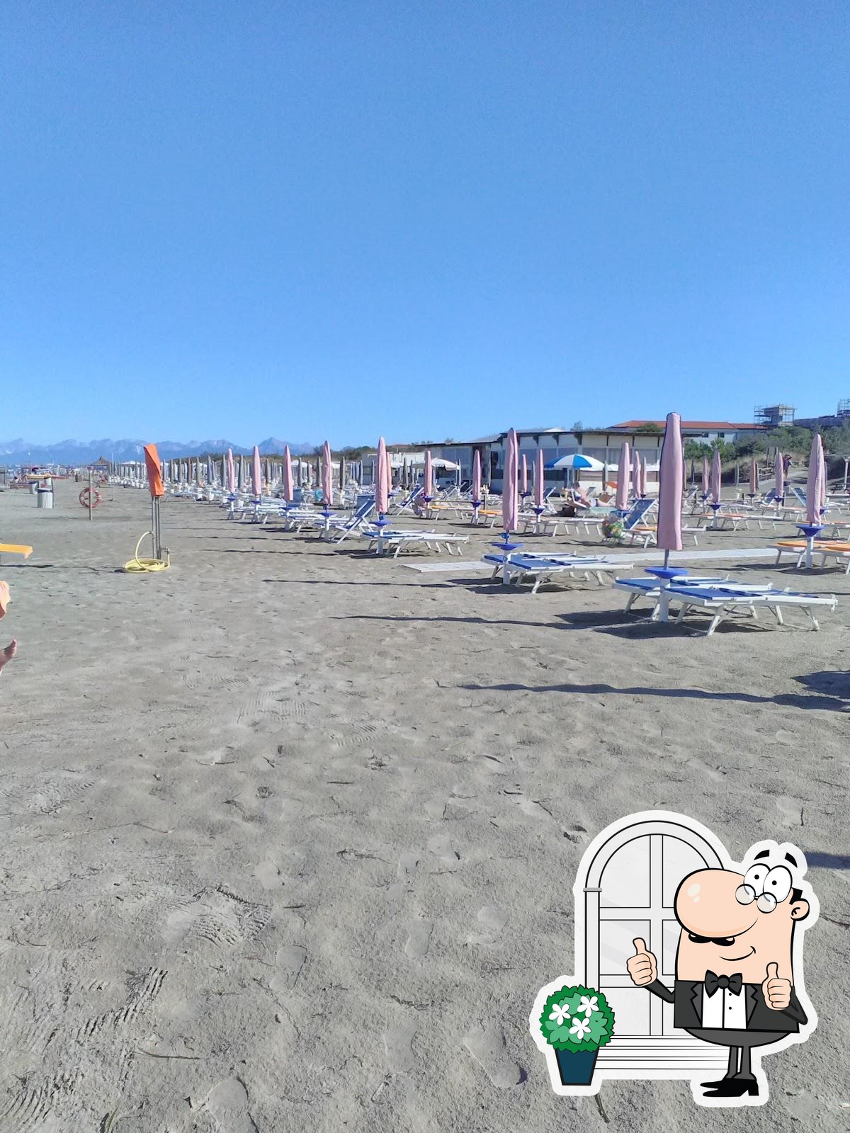 Spiaggia Il Paguro, Calambrone - Opiniones del restaurante