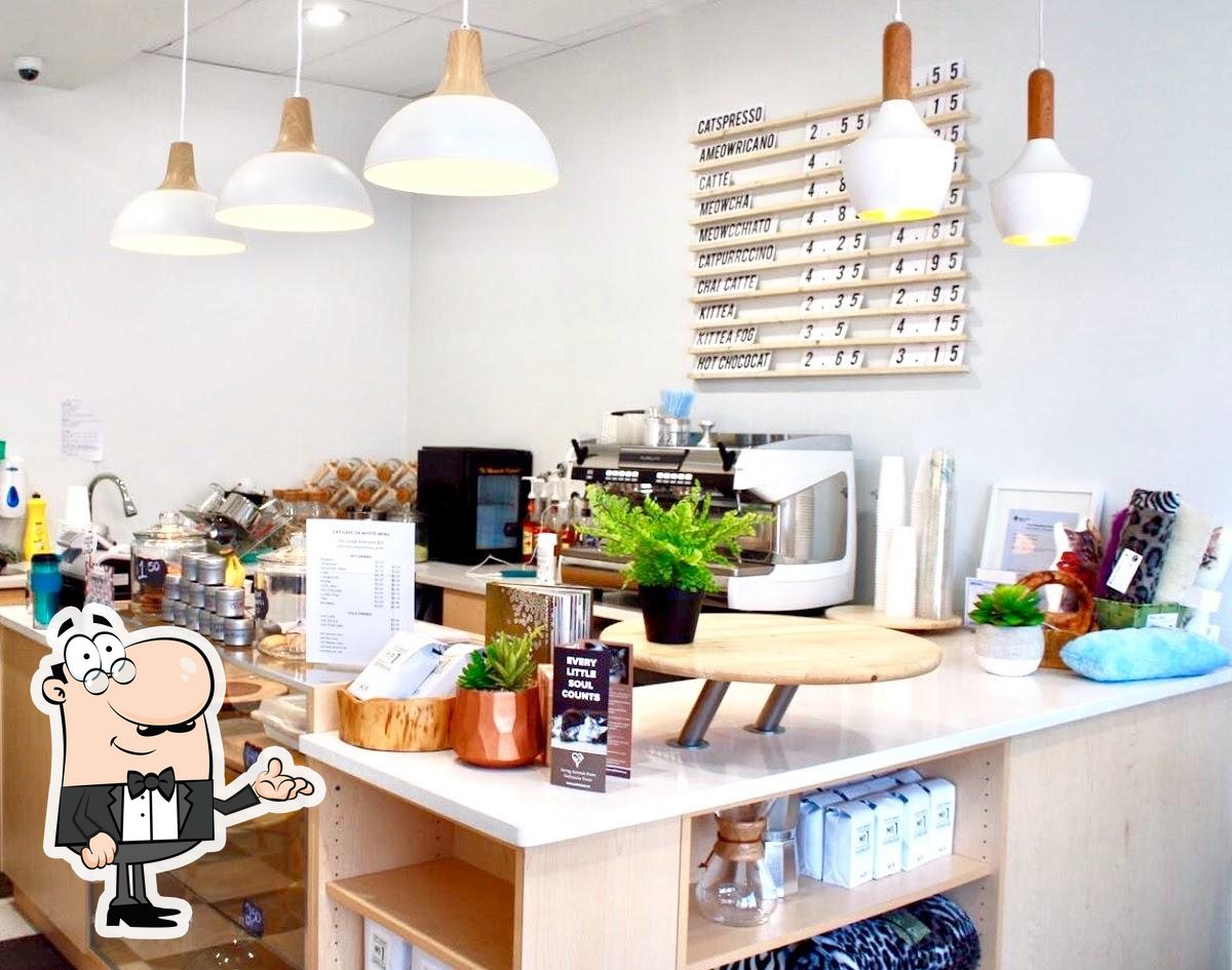 Cat Cafe on Whyte, Edmonton - Restaurant menu, prices and reviews