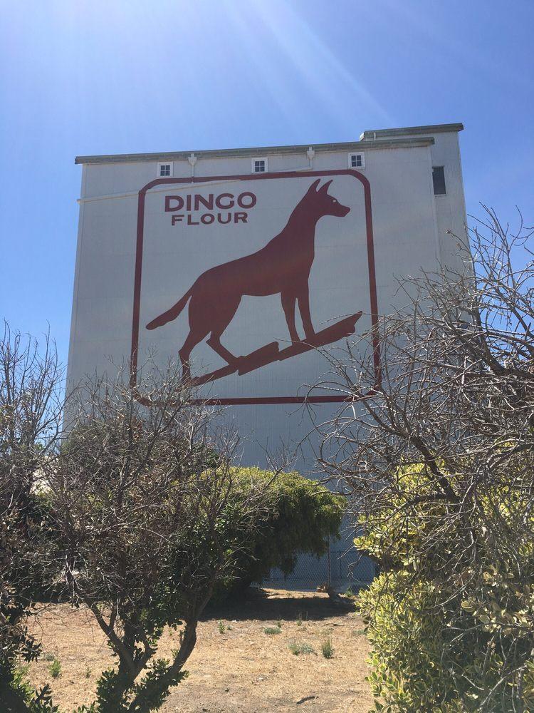 Dingo Flour sign in Fremantle - Restaurant reviews