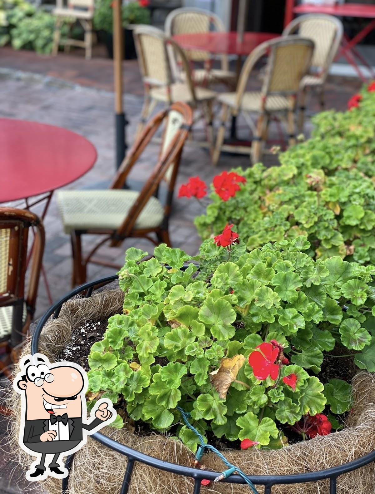 Luc's Café, Ridgefield - Restaurant menu, prices and reviews