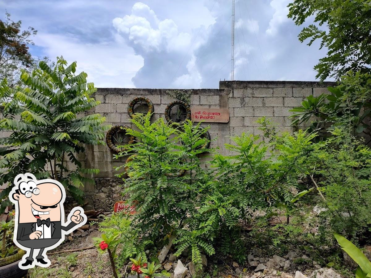 ALAK Garden, Tekom - Restaurant reviews