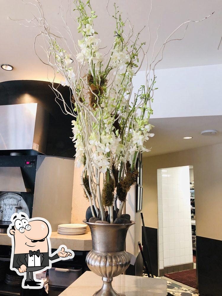 Xochi, Houston - Restaurant menu, prices and reviews