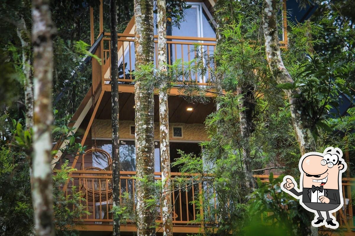 Bodhi Hut (Premium Hut Stay ,Vythiri ,Wayanad), Vythiri - Restaurant ...