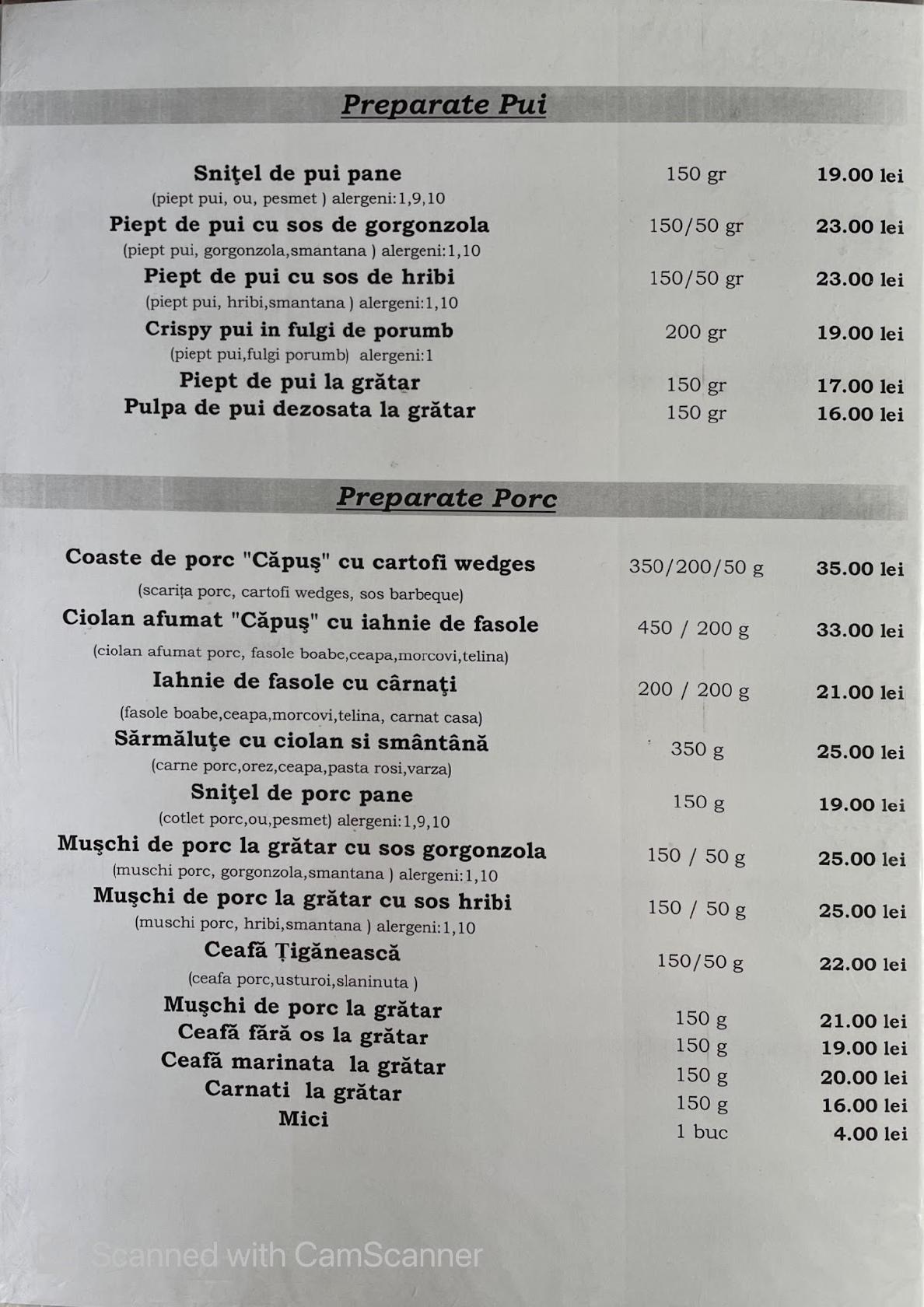 Menu at Complex Turistic Căpuș, Căpușu Mare