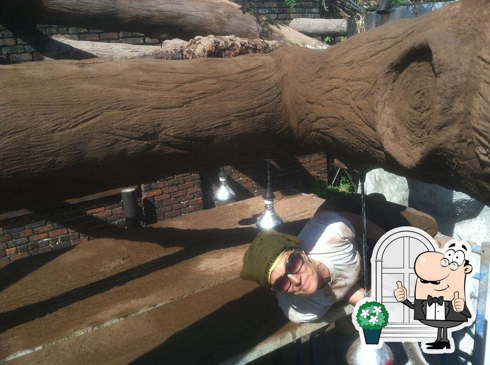 Magic Beer Tree in the Moonshine Roof Garden in Knoxville - Restaurant ...
