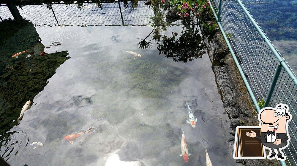 Ponds Hilo in Hilo - Restaurant menu and reviews