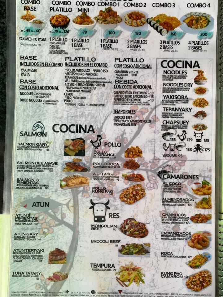 Menu at Yakitory Tepa restaurant, Tepatitlán de Morelos