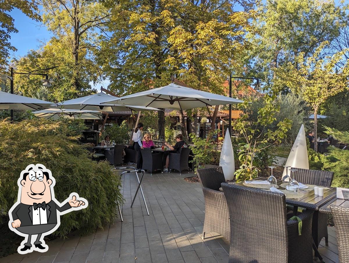 Casa Doina, Bucharest - Restaurant menu, prices and reviews