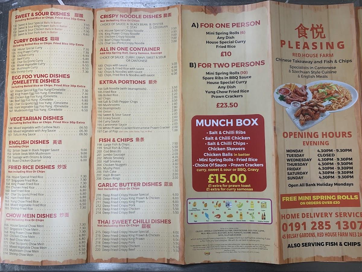 Menu at Pleasing Chinese Takeaway restaurant, Newcastle upon Tyne