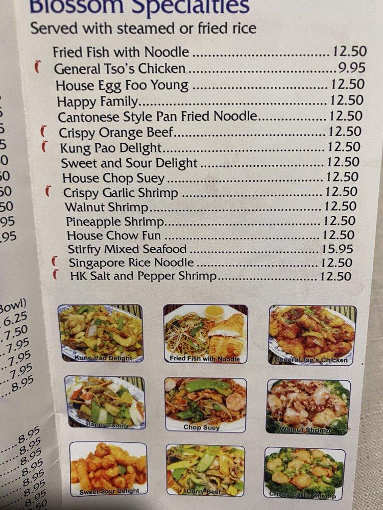 Menu at Blossom Asian Cuisine restaurant, Tolleson