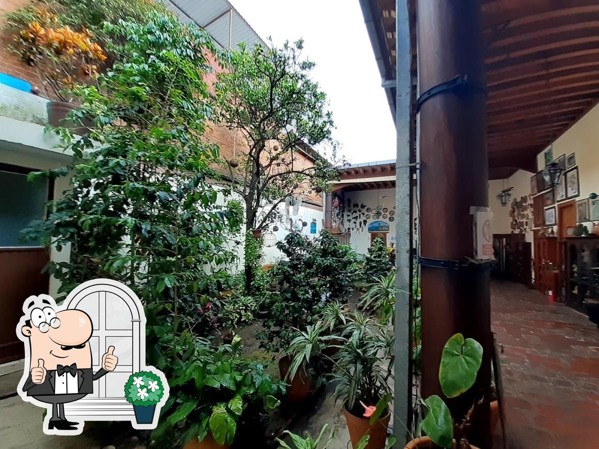 Café La Lucha, S.A. de C.V., Uruapan, García Ortiz 20 - Opiniones del ...