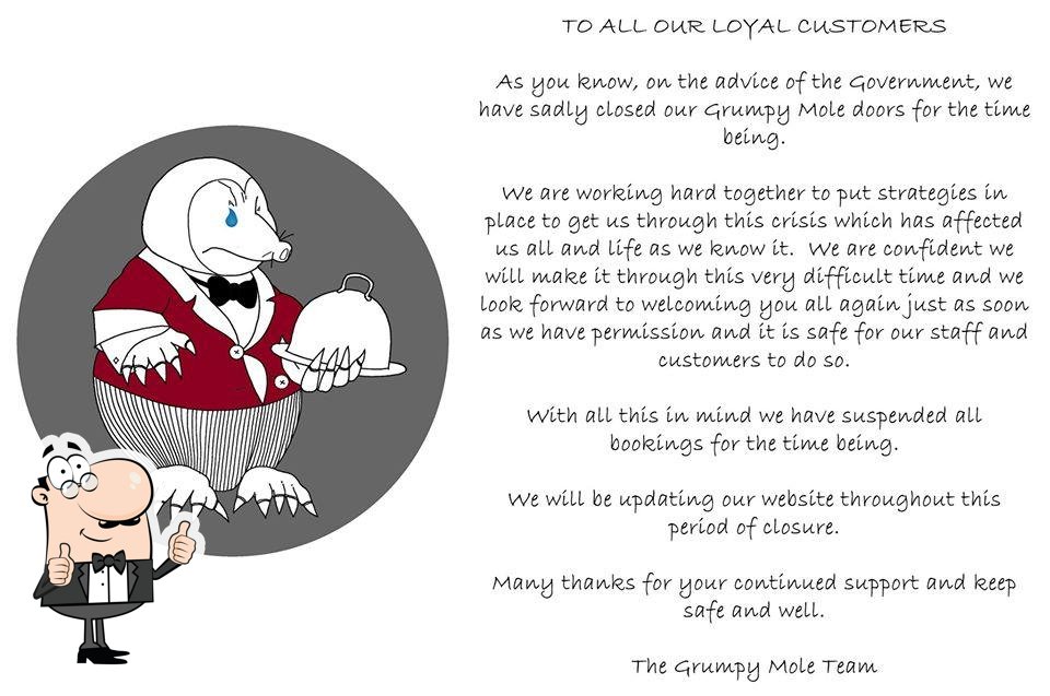 The Grumpy Mole in Epsom - Restaurant menu and reviews