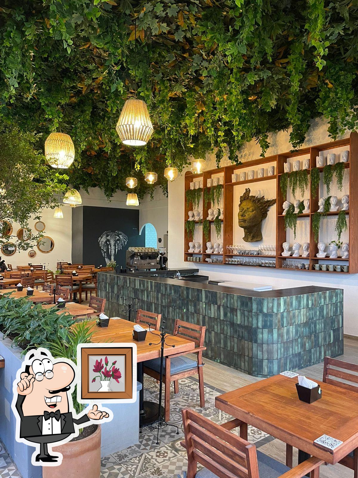 Pata de Elefante Sur restaurant, Palomar - Restaurant reviews