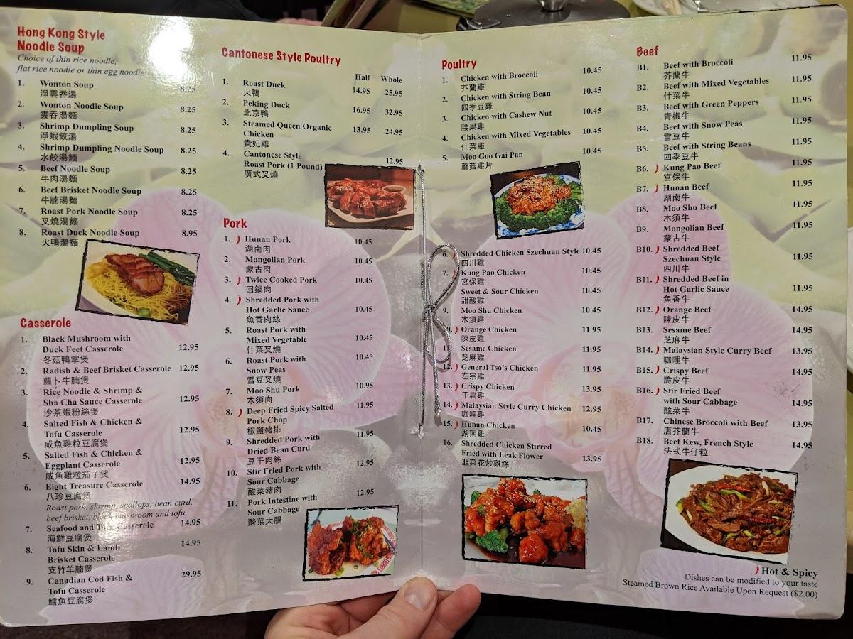 Menu at Noodle King Restaurant, Silver Spring