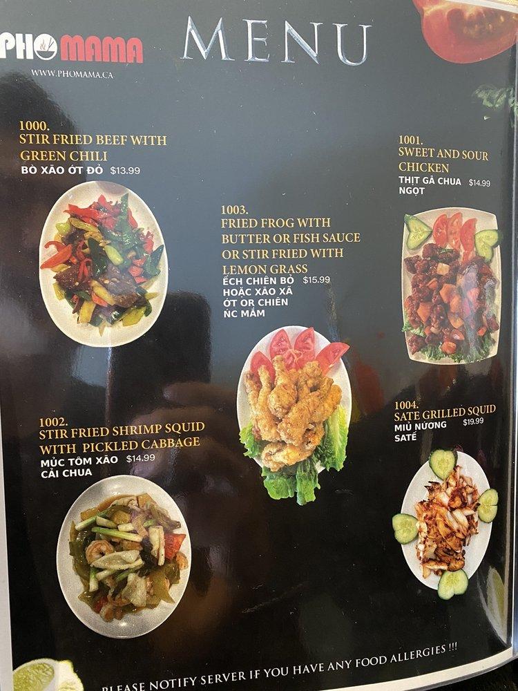 Menu at Pho Mama Oakville restaurant, Oakville