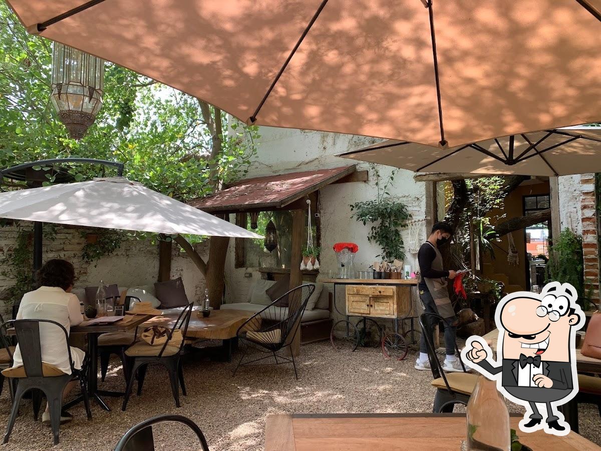 Rustica restaurant, San Miguel de Allende - Restaurant reviews